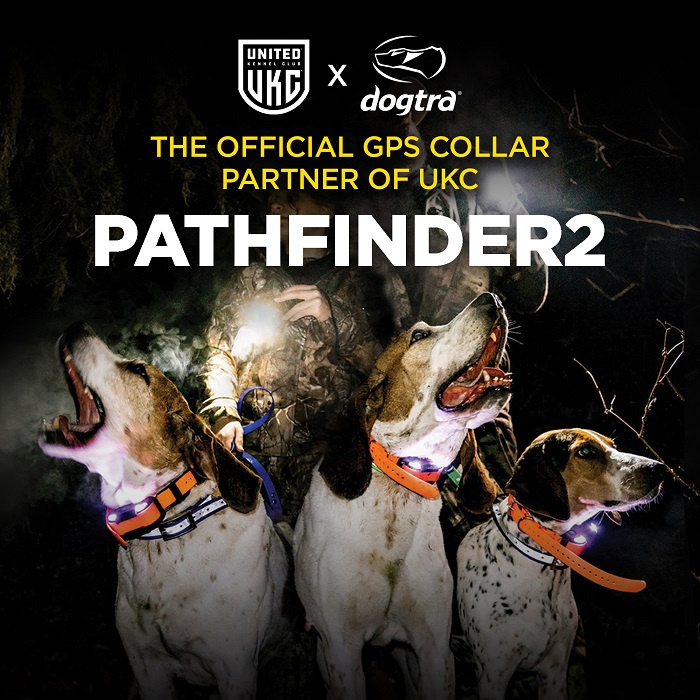 pologar > Dogtra Pathfinder 2 z GPS dla dużych ras psów